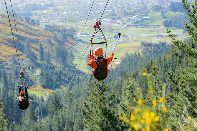 Christchurch Long Ride Zipline - Key Points
