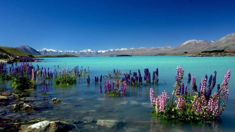 Christchurch: Mt Cook Day Trip/Lake Tekapo & Tasman Glacier - Frequently Asked Questions  