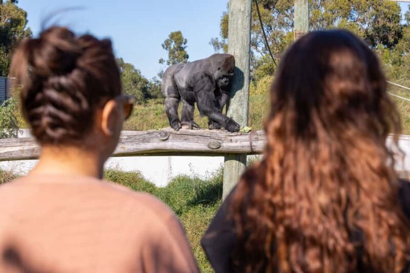 Christchurch: Orana Wildlife Park Admission - Key Points