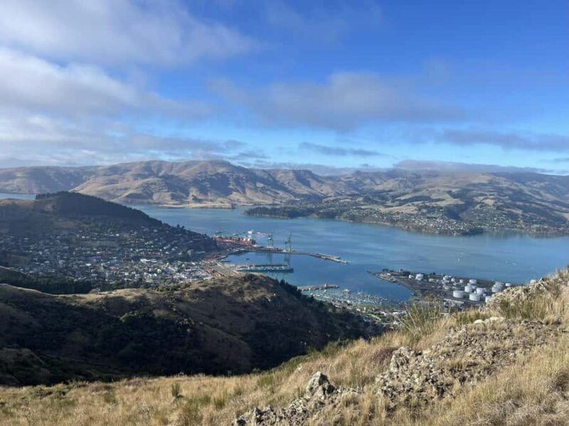 Christchurch: Port Hills Full-Day Trail Running Tour - Key Points
