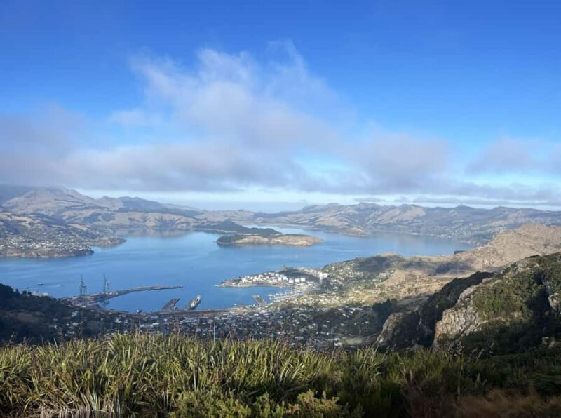 Christchurch: Port Hills Full-Day Trail Running Tour - What to Expect from the Christchurch Port Hills Trail Run