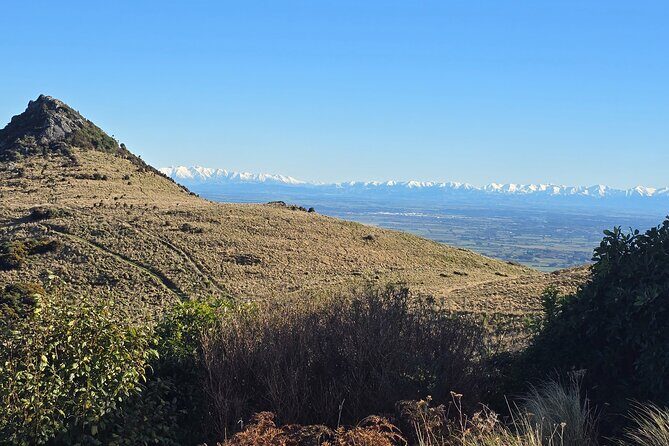 Christchurch Private Tour (Premium) Full day - A Deep Dive into the Itinerary