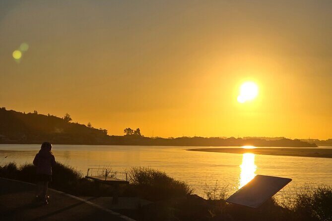 Christchurch Private Tour (Premium) Full day - Frequently Asked Questions