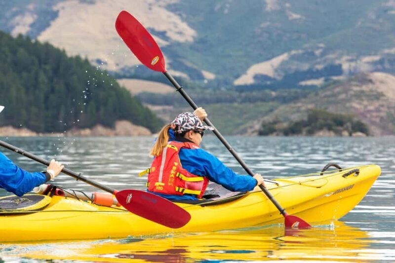 Christchurch: Sea Kayaking Tour of Lyttelton Harbour - The Itinerary in Detail