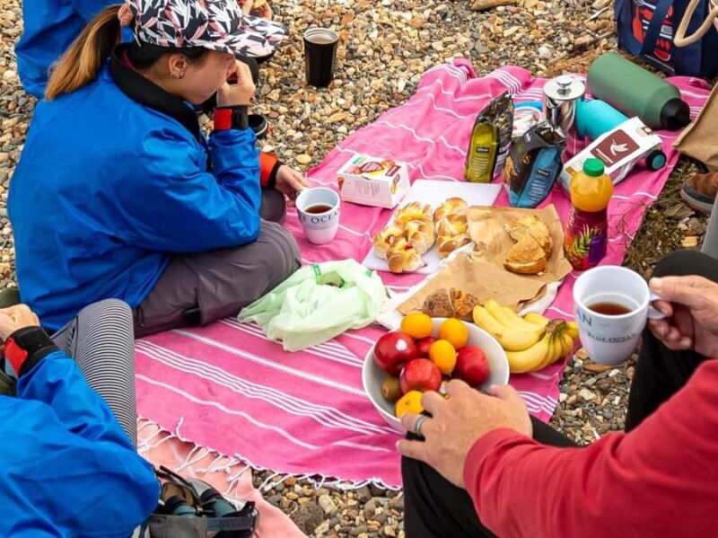 Christchurch: Sea Kayaking Tour of Lyttelton Harbour - Final Thoughts