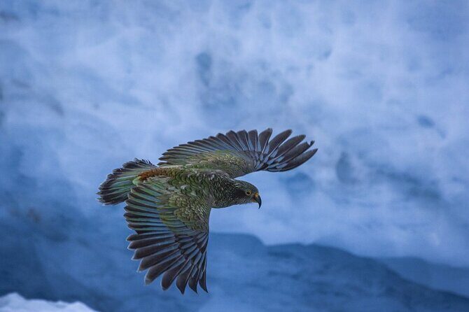 Christchurch to Franz Josef One Way Day Tour with TranzAlpine - The Sum Up