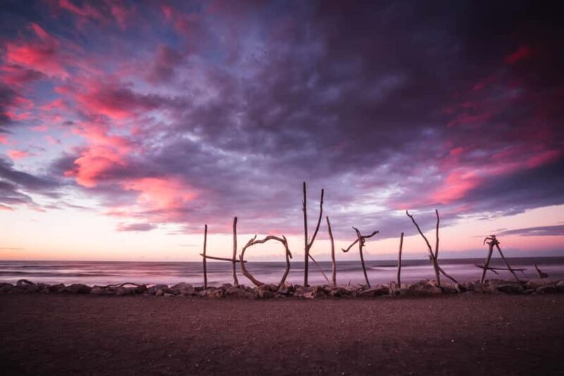 Christchurch to Franz Josef Tour with TranzAlpine (1 way) - Authentic Experiences and Insights from Reviews