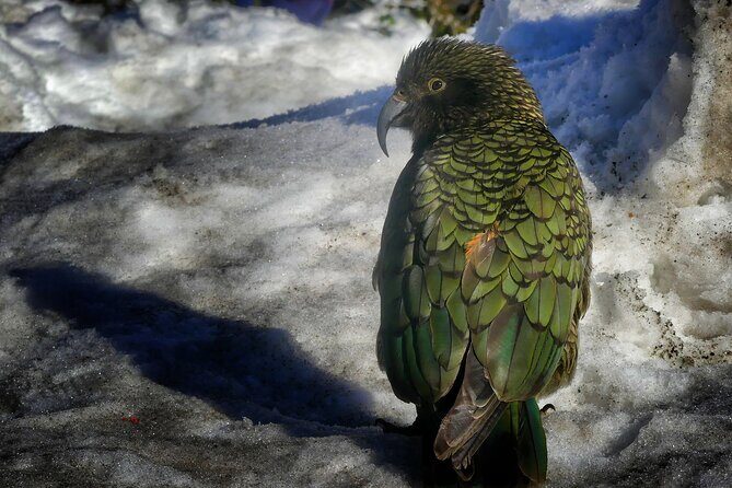 Christchurch to Queenstown One-Way Tour via Mt Cook & Lake Tekapo - Transportation & Group Size