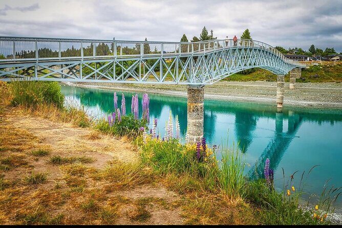 Christchurch to Queenstown One Way Via Lake Tekapo - Final Thoughts: Is This Tour for You?