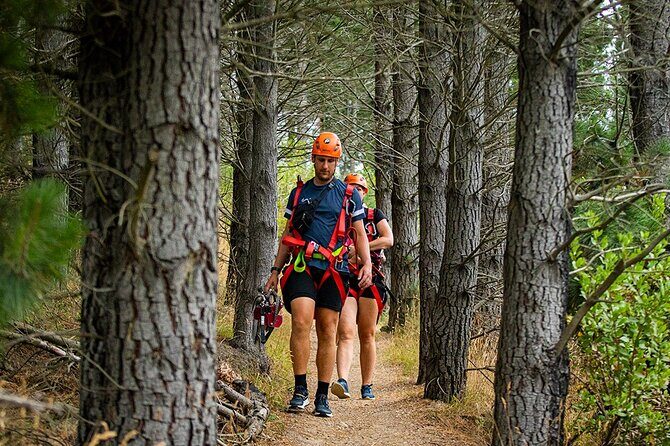 Christchurch Zipline Tour - The Sum Up