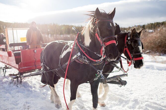 Christmas Horse-Drawn Sleigh/Carriage Ride from Salzburg - Key Points