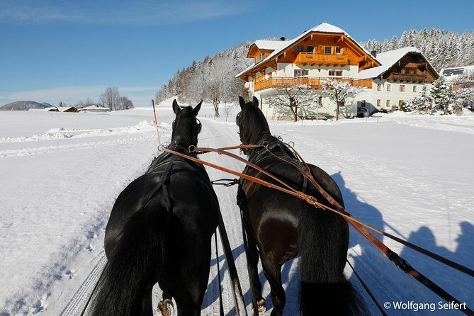 Christmas Horse-Drawn Sleigh/Carriage Ride from Salzburg - Exploring Ramsau – A Tiny Alpine Village