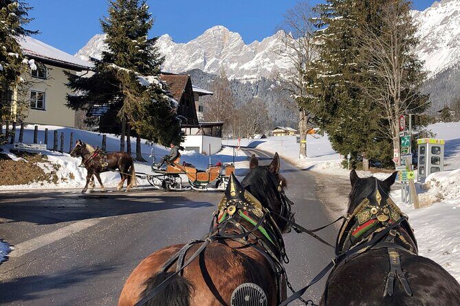 Christmas Horse-Drawn Sleigh/Carriage Ride from Salzburg - Scenic Return via Filzmoos