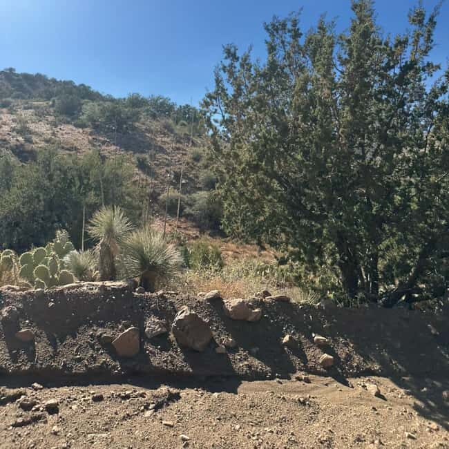 Chrysotile, AZ: Off-Road Adventure Gleason Flat - Salt River - Swimming and Relaxation at the Salt River