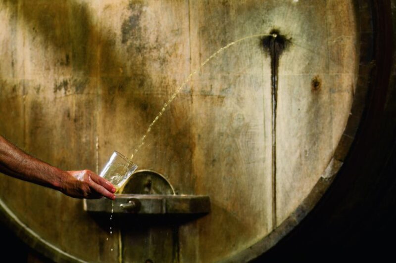 Cider House Experience From San Sebastián - Who Is This Tour Best For?