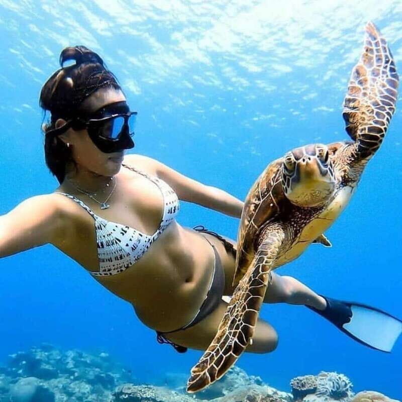 Cielo y Cielito With Transfer, Catamaran, 5 hours Open Bar and Lunch - FAQ