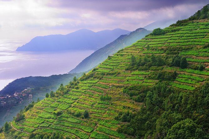 Cinque Terre and Pisa Full-Day Private Shore Excursion from Livorno Port - Who Should Book This Tour?