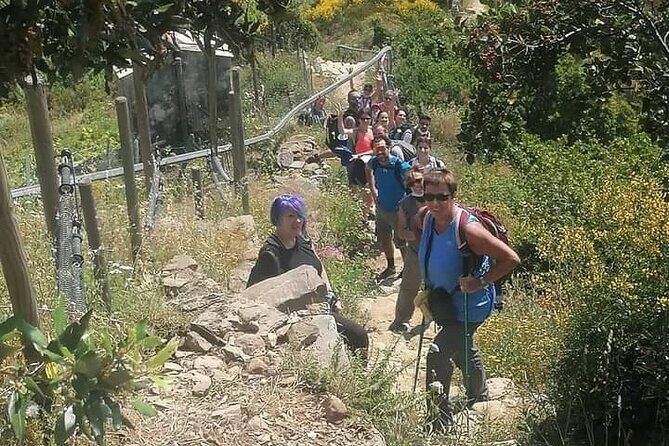 Cinque Terre by train and boat (no ferries in winter) - A Deep Dive into the Cinque Terre Experience