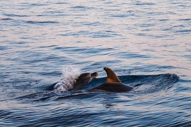 Cinque Terre Sunset Boat Tour Experience - Final Thoughts: Is It Worth It?
