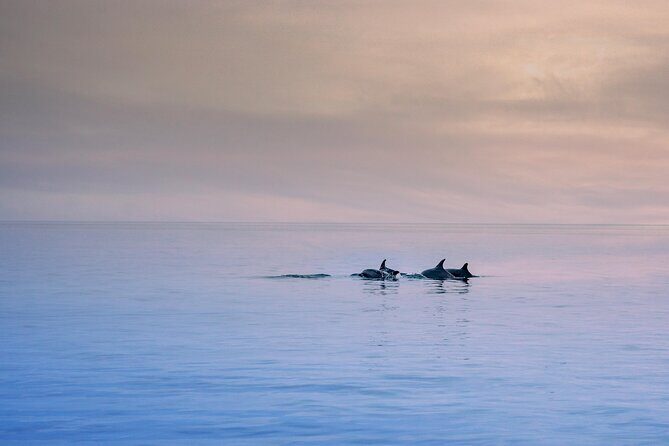 Cinque Terre Sunset & Swim Boat Tour with Local Skipper - How the Experience is Rated
