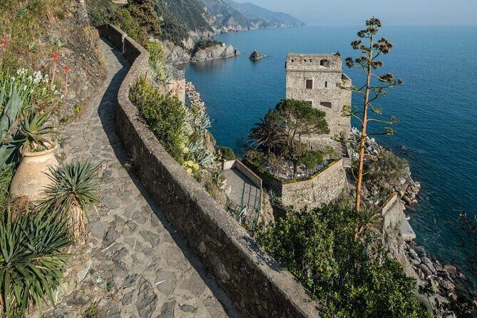 Cinque Terre Walking Tour with Food and Wine Tastings - A Step-by-Step Look at the Tour