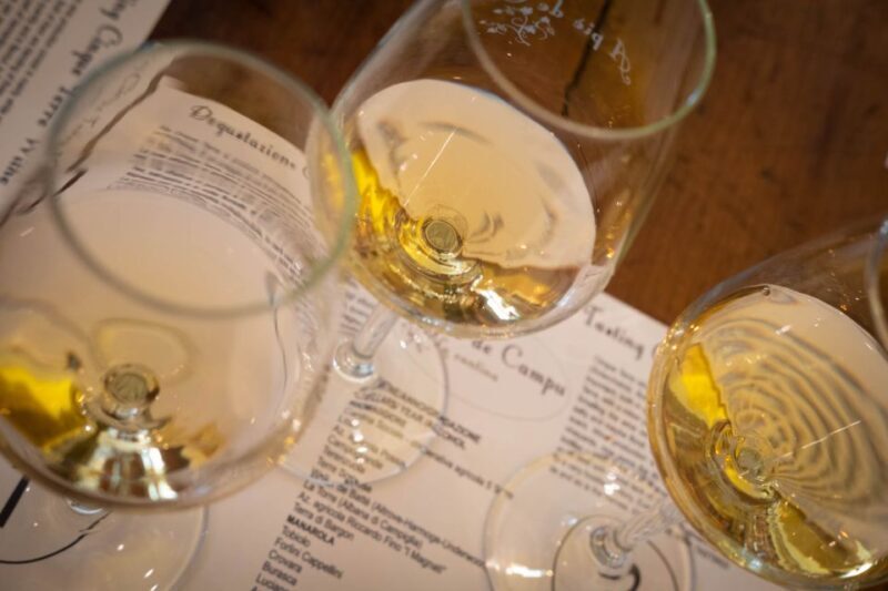 Cinque Terre: Wine Tasting and Walking Tour - Key Points