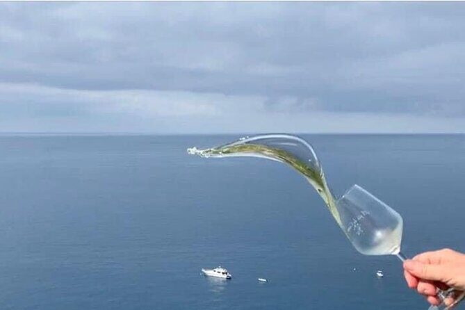 Cinque terre wine tour and tasting with the somelier in Manarola - Introduction