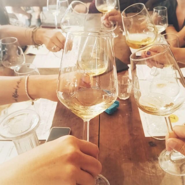 Cinque terre wine tour and tasting with the somelier - What to Expect from the Cinque Terre Wine Tour and Tasting