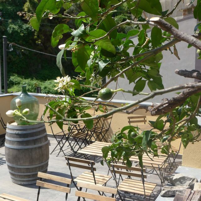 Cinque terre wine tour and tasting with the somelier - Who Should Consider This Tour?