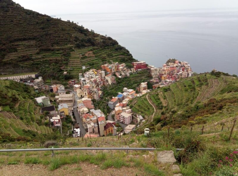 Cinque terre wine tour and tasting with the somelier - The Sum Up