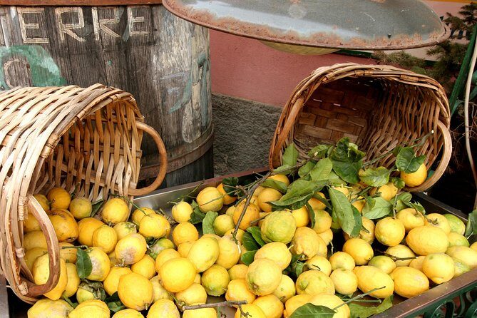 Cinqueterre and Pisa Shore Excursion from Livorno - FAQs