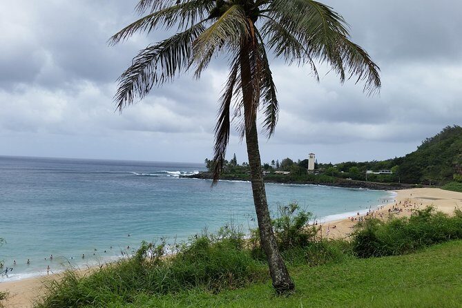 Circle Island 8hr Private Small Group Tour - Exploring the Itinerary in Detail