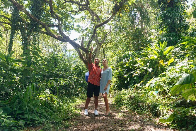 Circle Island (Holoholo Mokupuni) from Ko'olina - Wrapping Up with Stories and Spectacular Vistas