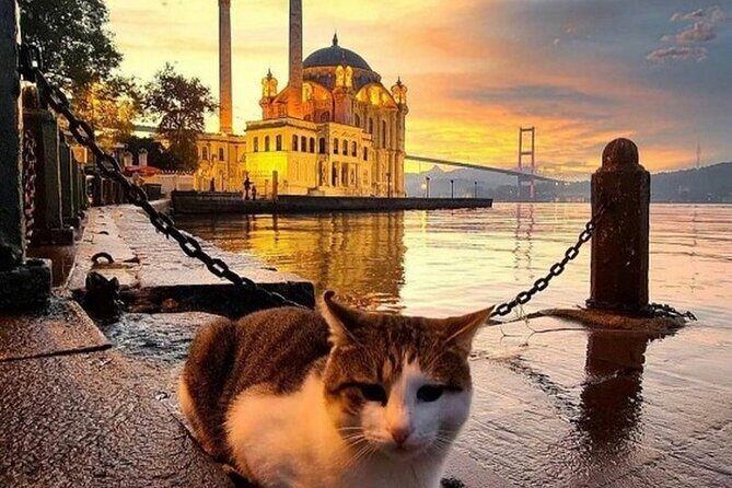 Circle Istanbul (Extraordinary Istanbul) - Who Should Book This Tour?