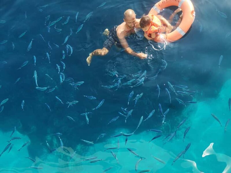 Circuit 2 H bateau avec vision sous-marine/Sites classés - Exploring the Experience in Detail