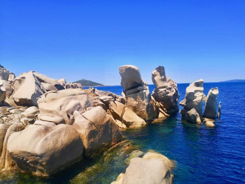 Circuit 2 H bateau avec vision sous-marine/Sites classés - Who Will Enjoy This Tour?