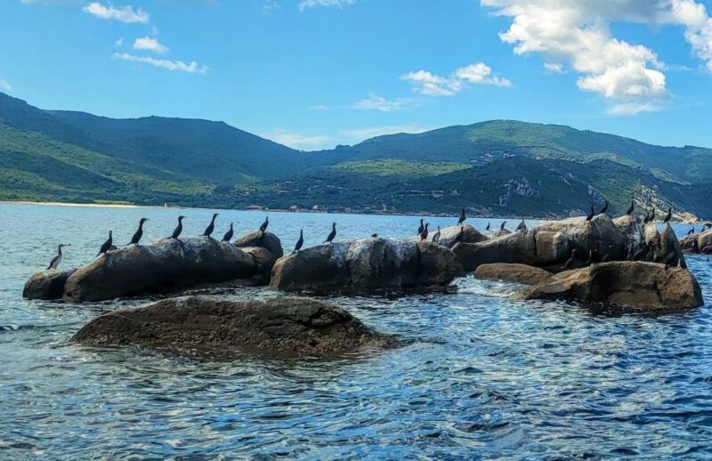 Circuit 2 H bateau avec vision sous-marine/Sites classés - Frequently Asked Questions