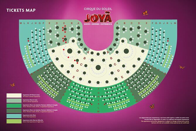 Cirque du Soleil JOYÀ Admission Tickets - Authentic Insights from Reviews  