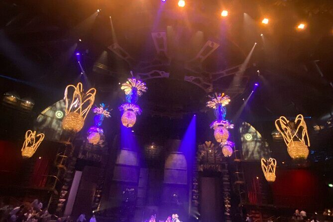 Cirque du Soleil JOYÀ in Vidanta Riviera Maya - Who Will Enjoy This Experience?