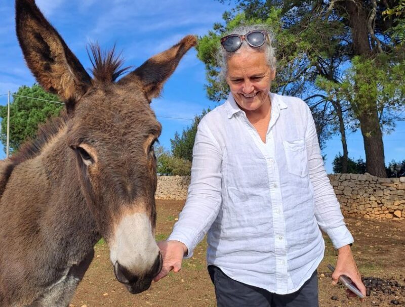 Cisternino: Guided e-bike tour to winery & oil mill - Final Thoughts
