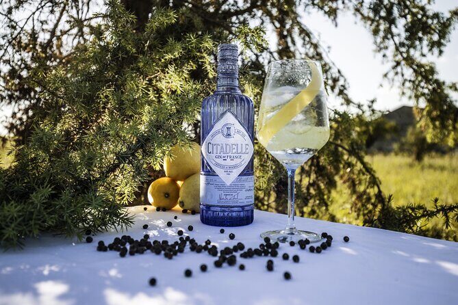 Citadelle Gin Distillery Tour in English - Setting and Location: A Charming Historic Backdrop