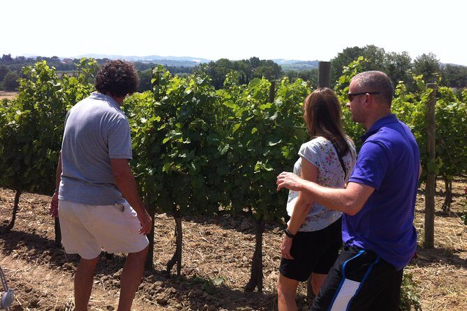 Cité de Carcassonne and Wine Tasting Private Day Tour from Toulouse - Why Choose This Tour?