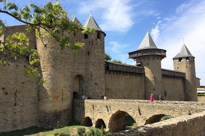 Cité de Carcassonne and Wine Tasting Private Day Tour from Toulouse - Is This Tour Right for You?