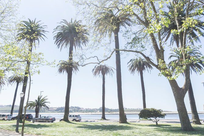 City Bike Rental in Porto - What to Expect on Your Porto Bike Tour