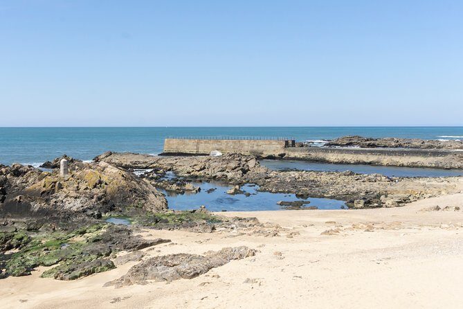 City Bike Rental in Porto - Highlights of the Porto Bicycle Experience