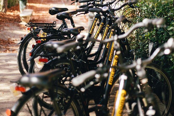 City Bike Rental with Phone Holder and Self Guided Tour - Family and Group-Friendly Options