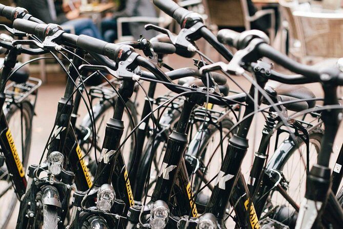 City Bike Rental with Phone Holder and Self Guided Tour - Is It Worth the Price?