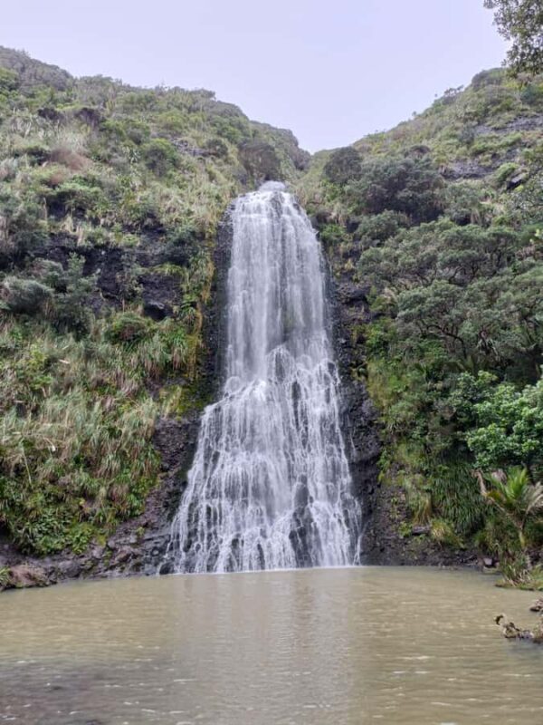 City & Coast & Country  A Relaxed Day Tour from Auckland - Exploring the City & Coast & Country Tour from Auckland: An Honest Review