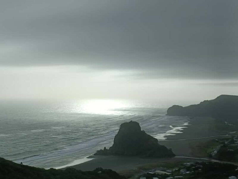 City & Coast & Country  A Relaxed Day Tour from Auckland - FAQs