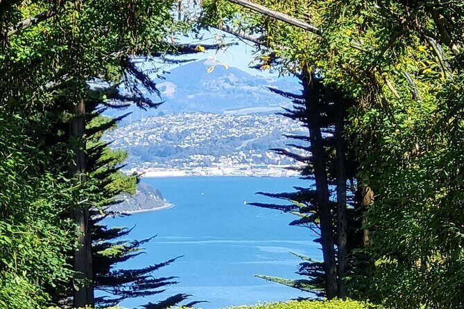 City Highlights, Larnach Castle & Peninsula Views - A Deep Dive into the Dunedin Highlights Tour